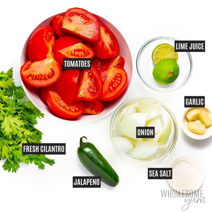 Fresh Salsa Recipe (5 Minutes) - Wholesome Yum